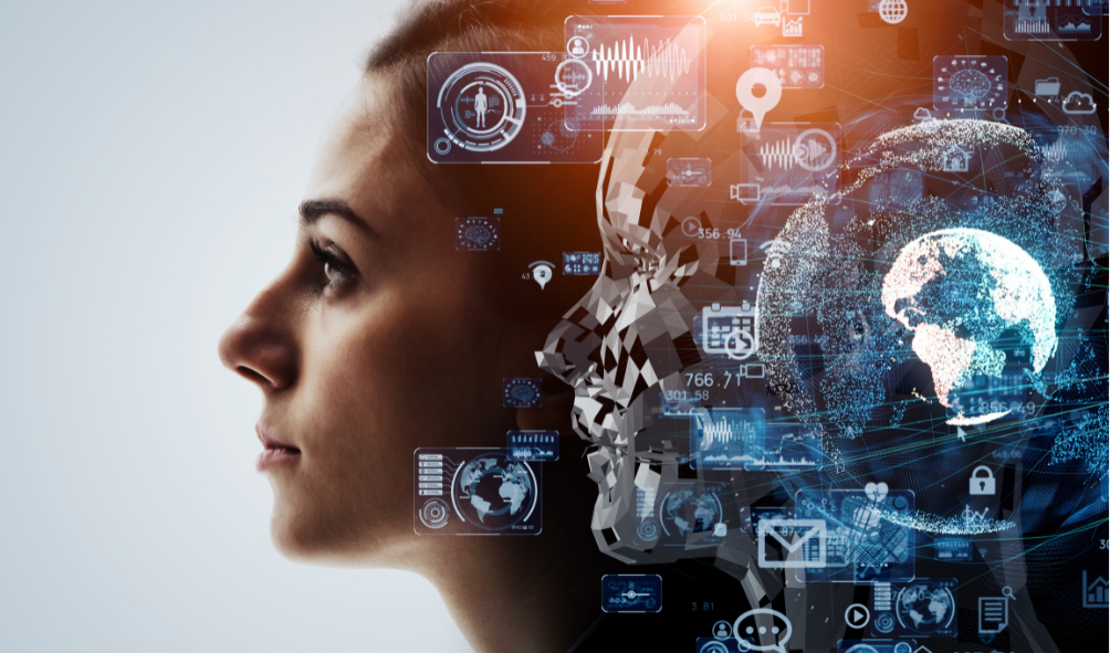 Blog - auditor indonesia